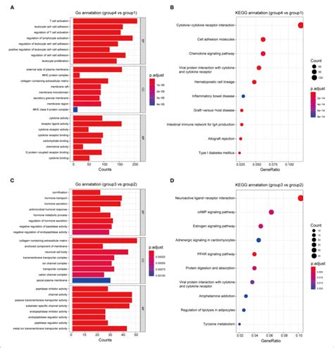 Functional Annotation Of The Subgroups Go And Kegg Enrichment Download Scientific Diagram