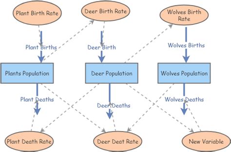 My Insight Insight Maker