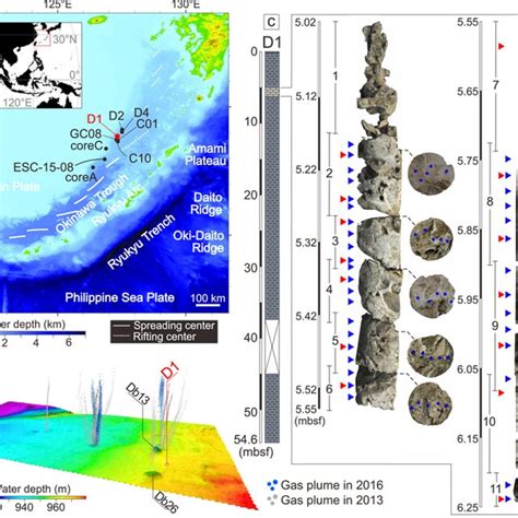 Schematic Diagram Of The Formation Mode Of Authigenic Carbonate At