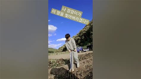 이곳은 내가 찢어버린다 귀염어린농부영농후계자농부농기구농사주말농장장난꾸러기혼자놀기귀염둥이 Youtube