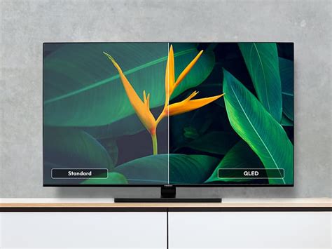 Was Ist Der Unterschied Zwischen Lcd Qled Und Oled