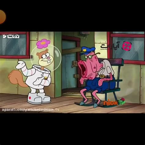 تئوری باب اسفنجی