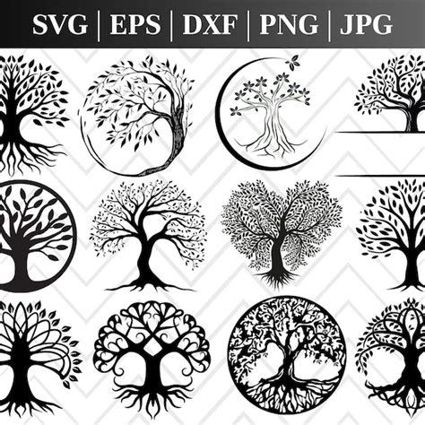 Tree Of Life Svg Etsy