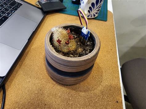 Bringing Ai To Iot Through Openai Plantgpt