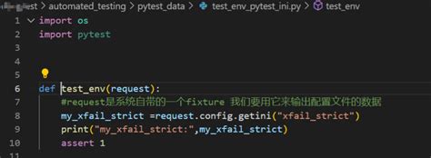 pytest 在配置文件pytest ini中自定义选项 变量 工作手记 博客园