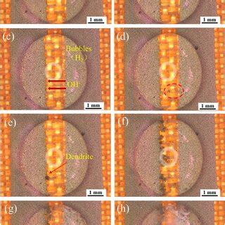 The Overall Process Of ECM At 5 V A 0 S B 20 S C 35 S D 44 S E Download Scientific Diagram