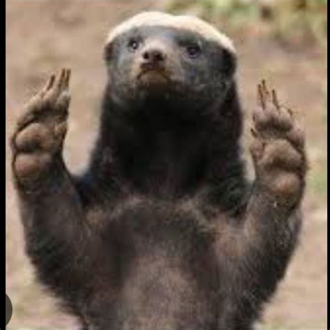 📌 Затримання особи без адвоката ️Повний список категорій у кінці 👇 📌 19 03 2025 ККС ВС № 208