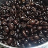 Penjual Biji Kopi Pohon Rindang