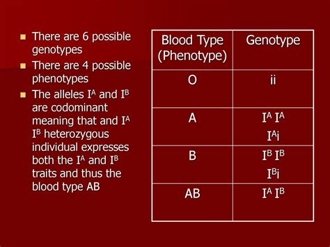 Multiple Alleles And Genes Ppt Download