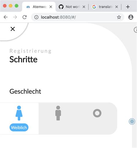 Not Working For Flutter Web Projects · Issue 54 · Fluttercommunity