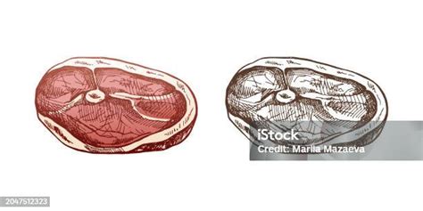 손으로 그린 컬러 및 단색 스케치 고기 돼지 고기 또는 쇠고기 스테이크 고기 절단 고기 컷 벡터 일러스트 레이 션 빈티지