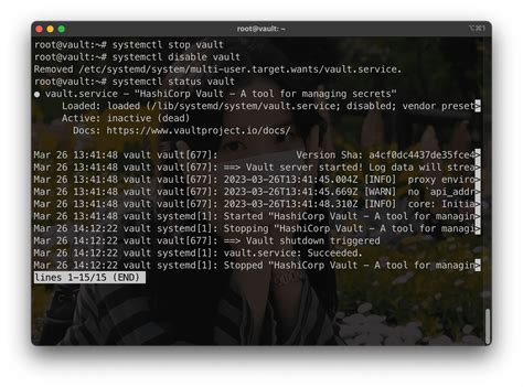 Docker Vault S3 Tkjpedia