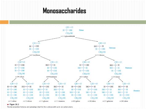 Organic Chemistry 145 CHEM Carbohydrates Ppt Download