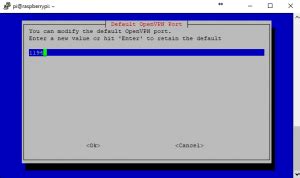 How To Setup OpenVPN On A RaspberryPi Dirty Optics