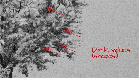 Tree Leaves Texture Drawing