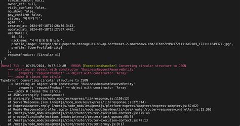 JSON 변환 응답 에러 NestJS
