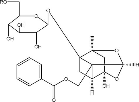 Paeoniflorin Aromatic Ester Derivative Preparation Method And
