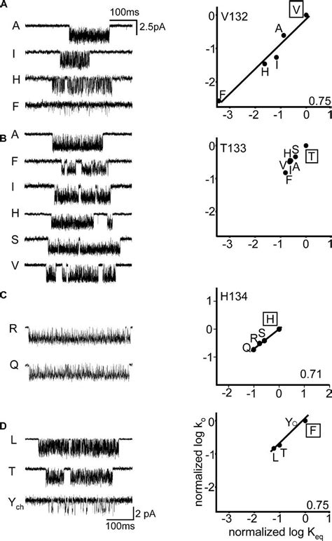 Kinetic Analysis Of Cys Loop Residues A Example Clusters And Refer Download Scientific