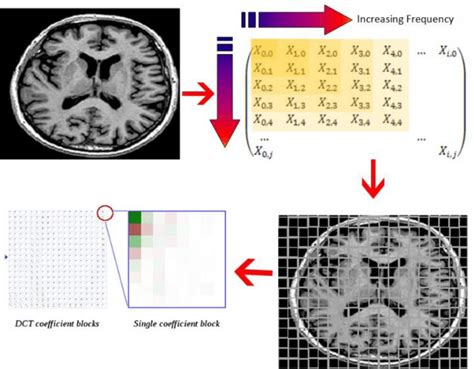 Dct Coefficient For Matrix Factorization Download Scientific Diagram