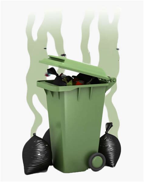 What To Do About Smelly Trash Cans At Danica Jones Blog