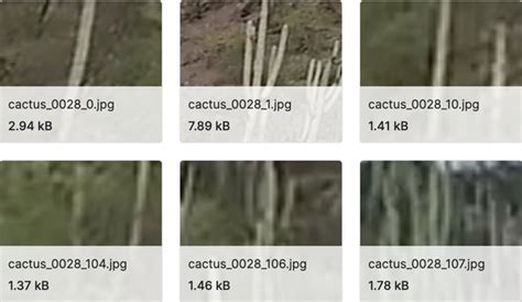 农业相关图像分类、图像识别等数据集资源汇总 知乎