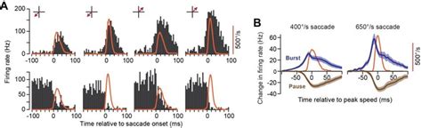 Activity Of P Cells During A Saccade A Saccades Were Made To Various