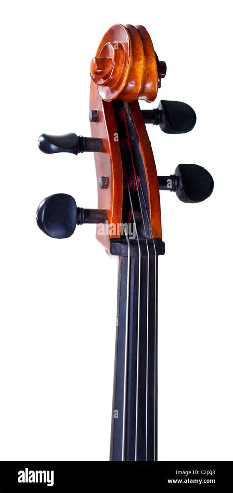 Cutaway Cello Scroll
