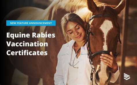 Equine Rabies Vaccination Certificates Globalvetlink