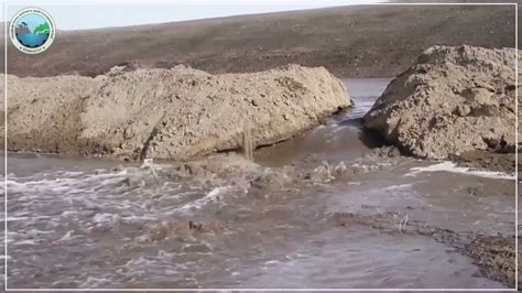 ШАР УСНЫ ҮЕР БОЛОН МӨС ЦӨМРӨХ АЮУЛААС СЭРЭМЖТЭЙ БАЙХЫГ ОНЦГОЙЛОН АНХААРУУЛЖ БАЙНА Youtube