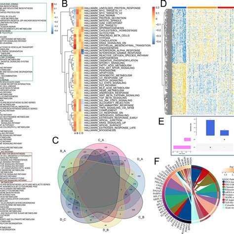 Differences In Signaling Pathways Between Different Splicing Regulation Download Scientific