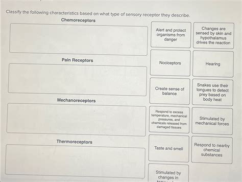Solved Classify The Following Characteristics Based On What