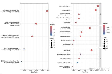 tinyarray简化gse75421芯片分析流程 知乎