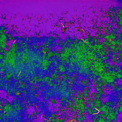 376944 PDFs Review Articles In SOIL ANALYSIS