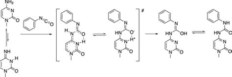 异氰酸酯对核碱基氨基甲酰化机理的理论研究 Chemical Research in Toxicology X MOL