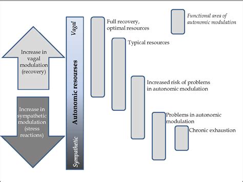Figure 1 From Heart Rate Variability In Chronic And Acute Stress With Special Reference To