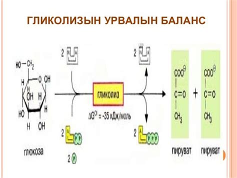 Biochemistry L 8