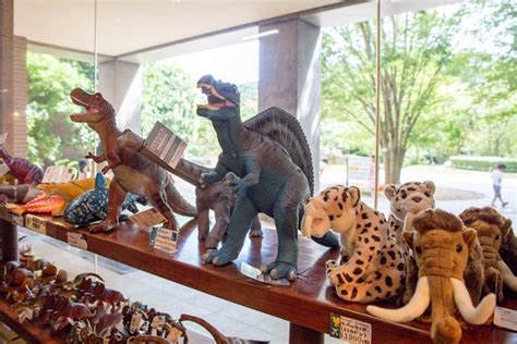 茨城県自然博物館 ミュージアムショップ公園へ行こう