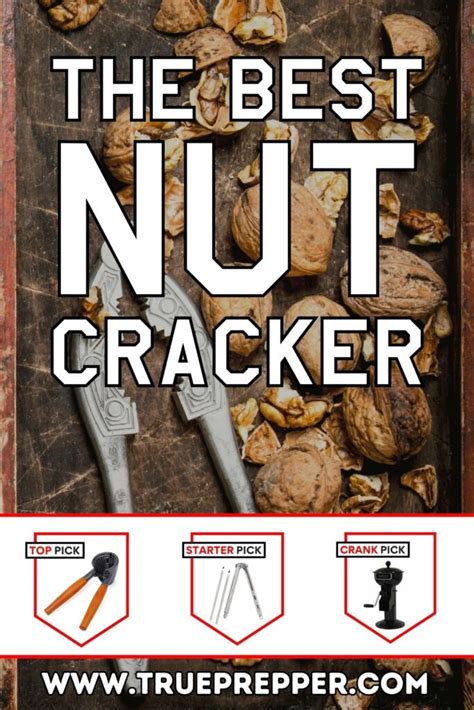 Best Nutcracker Tool For Pecans Walnuts And Acorns Trueprepper
