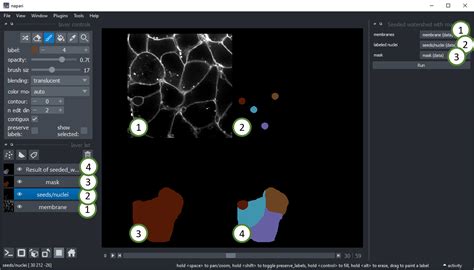Napari Segment Blobs And Things With Membranes · Pypi