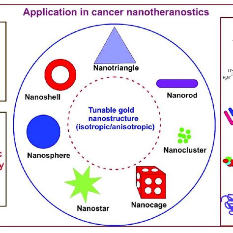 The Schematic Illustrating The Shape By Design Of Tunable Gold Download Scientific Diagram