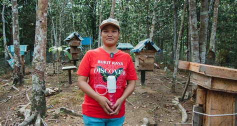 Detail Of Strong Women Behind The Beauty Of Bukit Baka Bukit Raya Alam Sehat Lestari