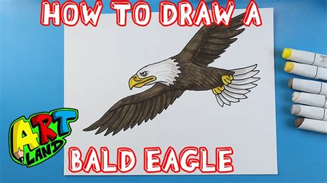 Painstaking Lessons Of Tips About How To Draw A Bald Eagle Head Endring