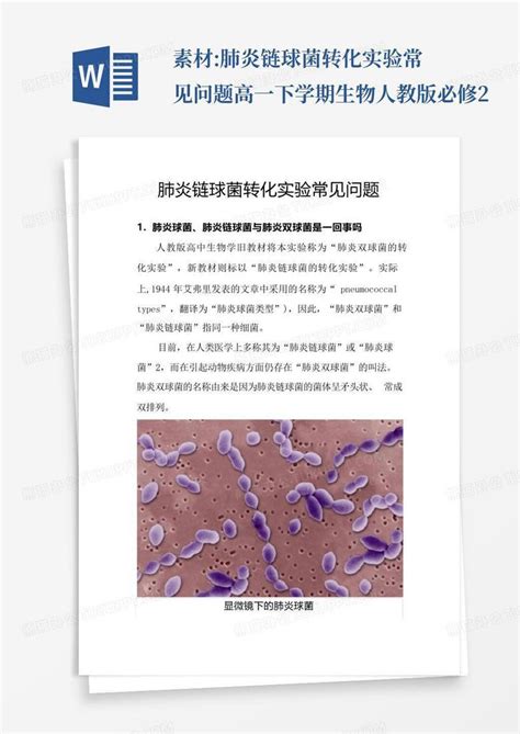 素材 肺炎链球菌转化实验常见问题高一下学期生物人教版必修2word模板下载 编号qmbvbwew 熊猫办公