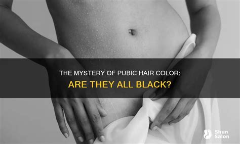The Mystery Of Pubic Hair Color Are They All Black Shunsalon