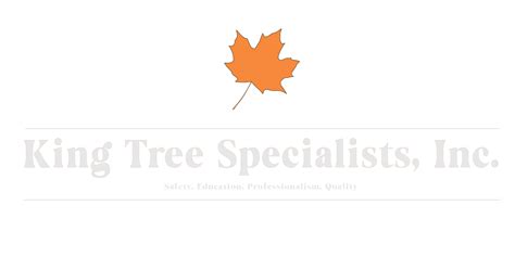 Tree Support Systems King Tree Specialists Inc