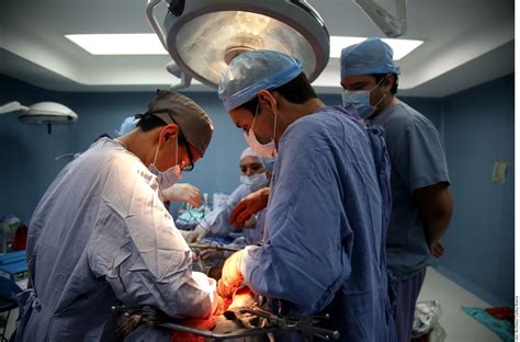 Embrión Plaga Volver A Llamar Que Son Las Amigdalas Y Porque Se Operan Volcán Tomar Medicina