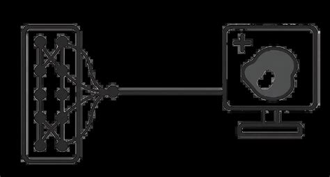 Object Tracking Made Easy With Yolov11 Bytetrack By Wilasinee Paewboontra Medium