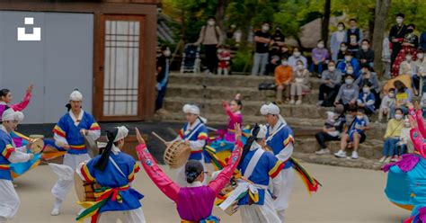 낮 동안 거리에서 춤을 추는 파란색과 흰색 전통 드레스를 입은 사람들 사진 Unsplash의 무료 꽃의 이미지