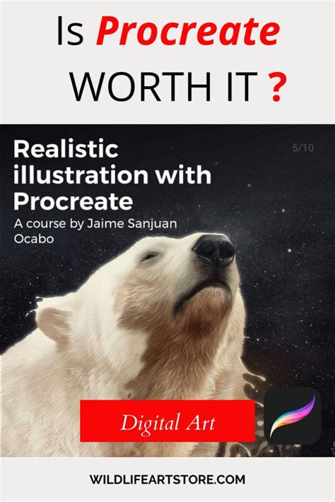 Is The Procreate App Worth It For Beginners Get The Facts