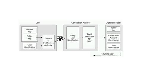 Ssltls Enabling Openssl Stack Overflow